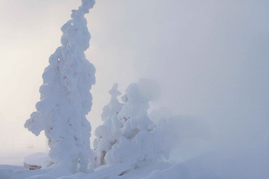 12 Weird And Wonderful Things To See in Winter