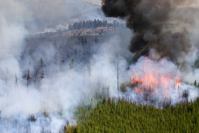 Maple Fire, August 15, 2016 | Yellowstone National Park Lodges