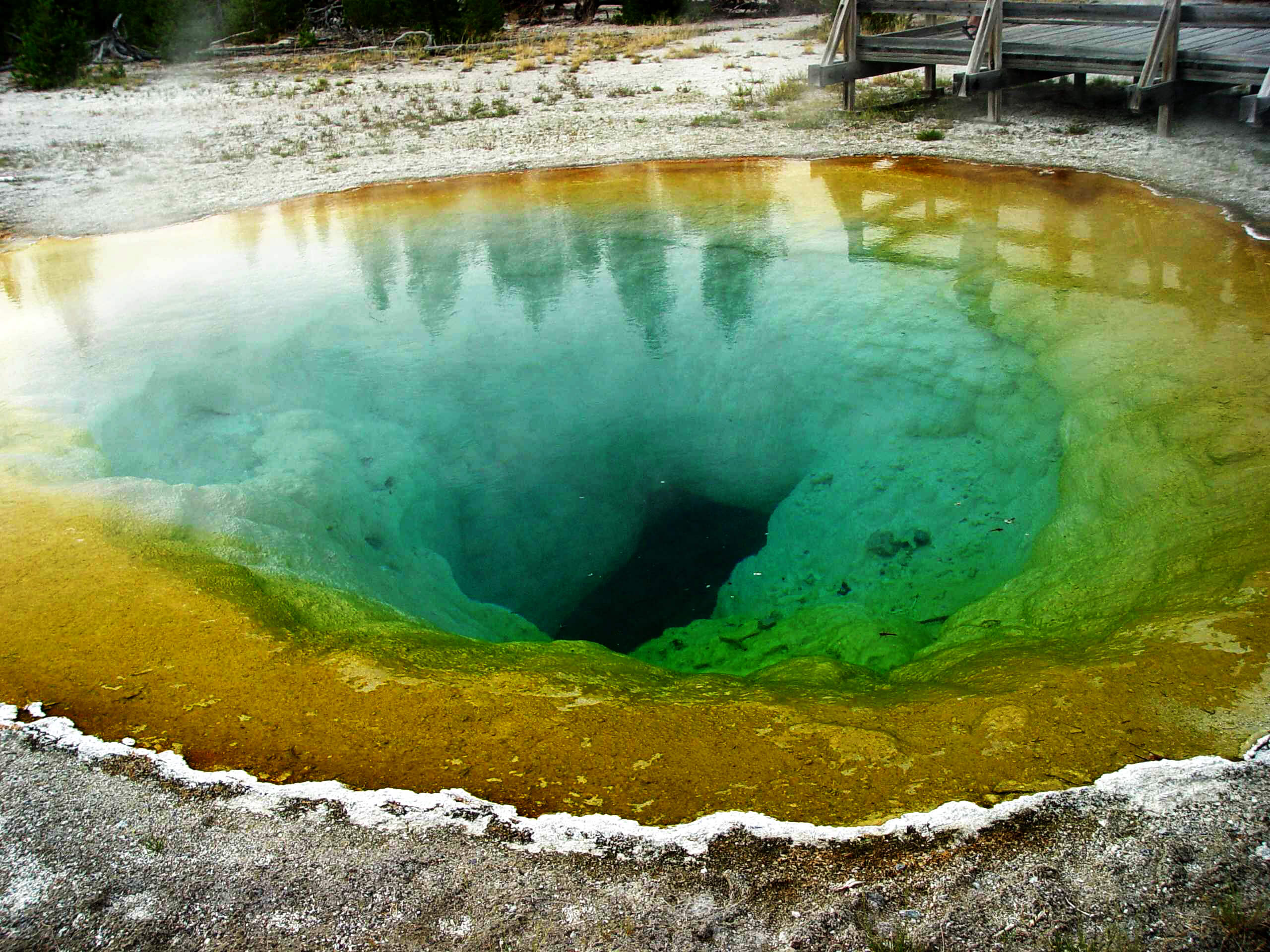 MorningGloryPool | Yellowstone National Park Lodges