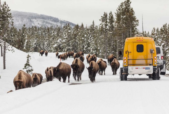 Snowcoach-Header-Image | Yellowstone National Park Lodges