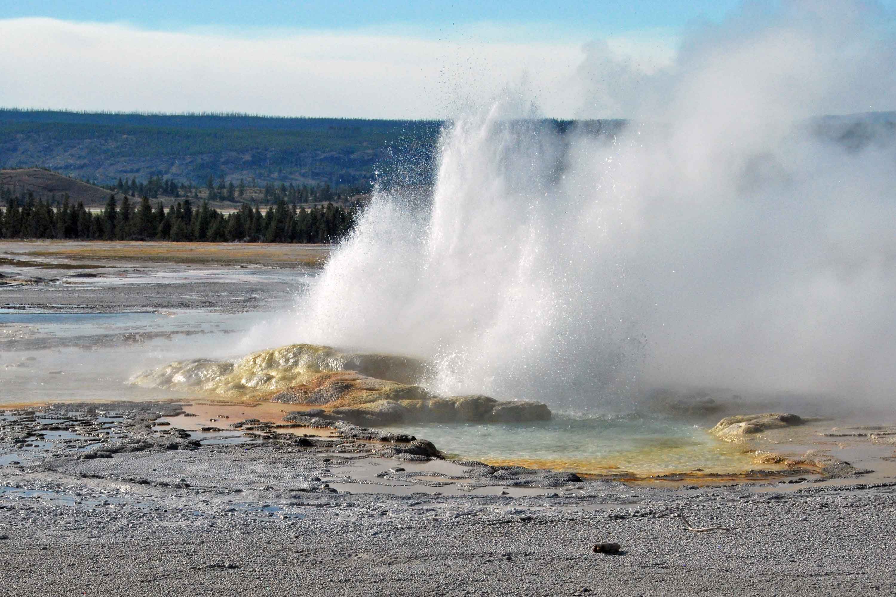 Geyser Gazers | Yellowstone National Park Lodges