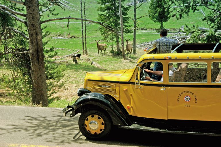 Camping Guide to Yellowstone National Park Lodges