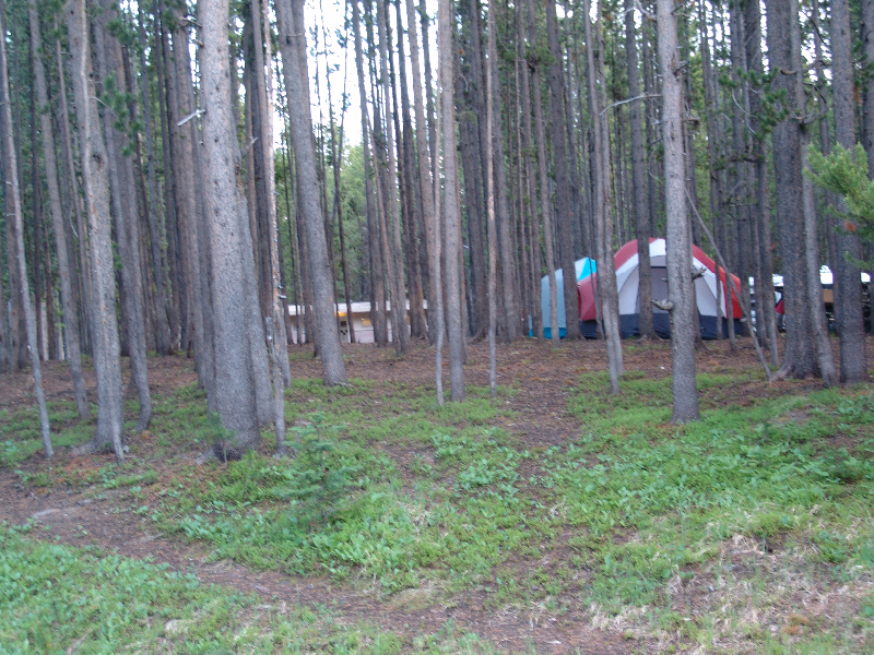 canyon-campground-4 | Yellowstone National Park Lodges
