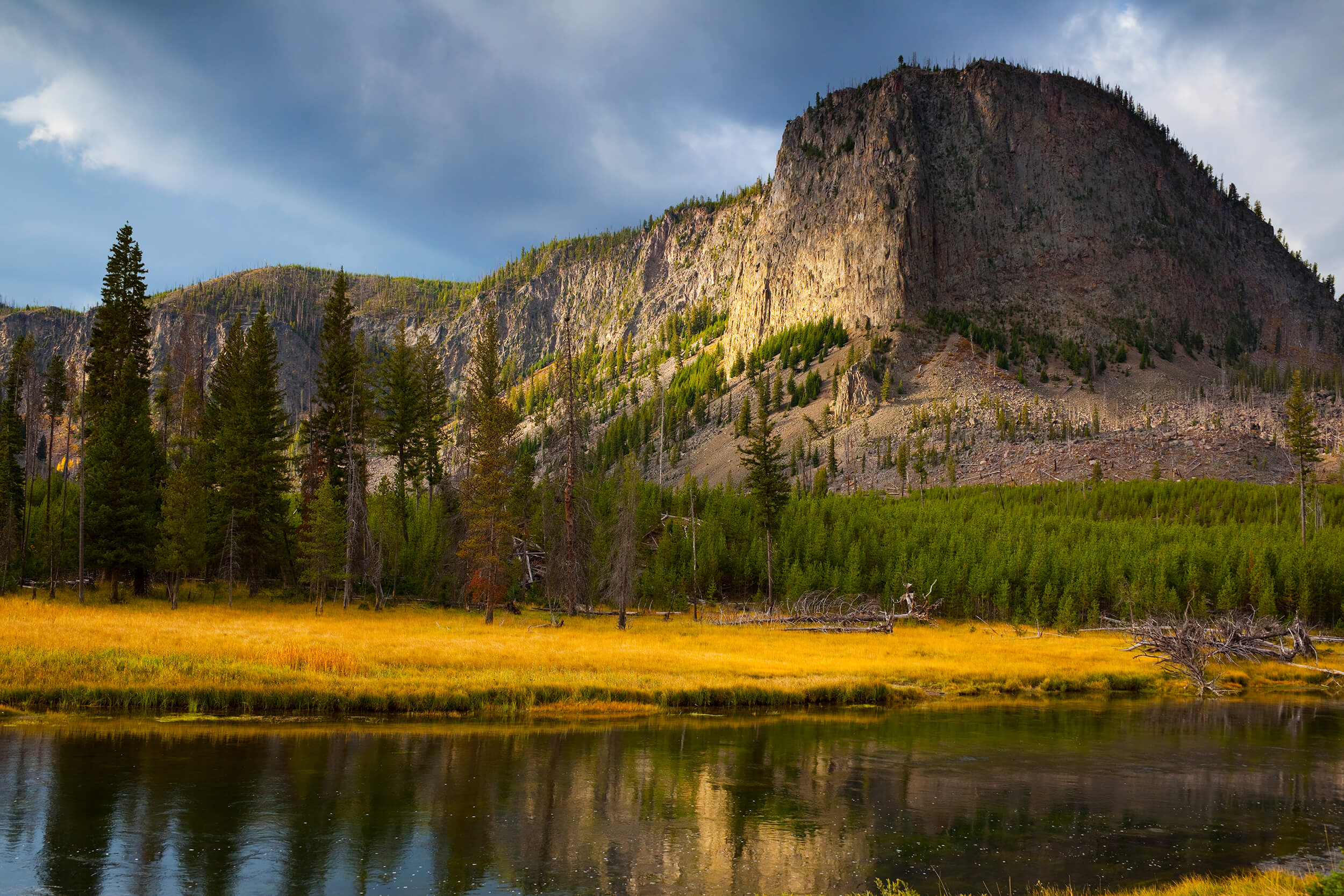 Yellowstone by the numbers