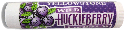 The Wild Huckleberries of Yellowstone