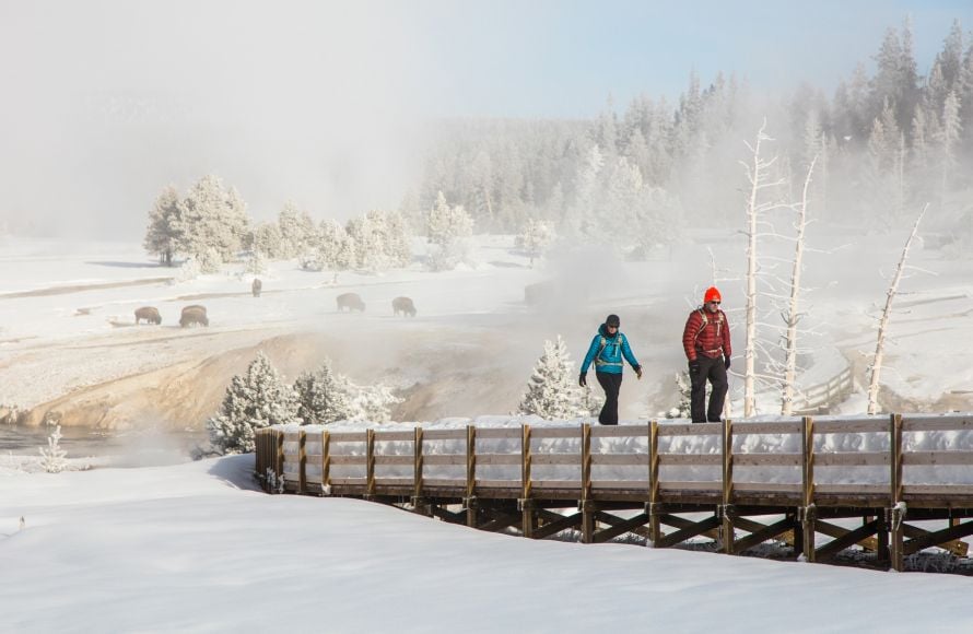 Old Faithful Winter Expedition | Yellowstone National Park Lodges