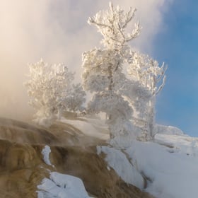Terrace-Winter-Trees | Yellowstone National Park Lodges