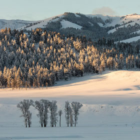 Lamar-Winter | Yellowstone National Park Lodges