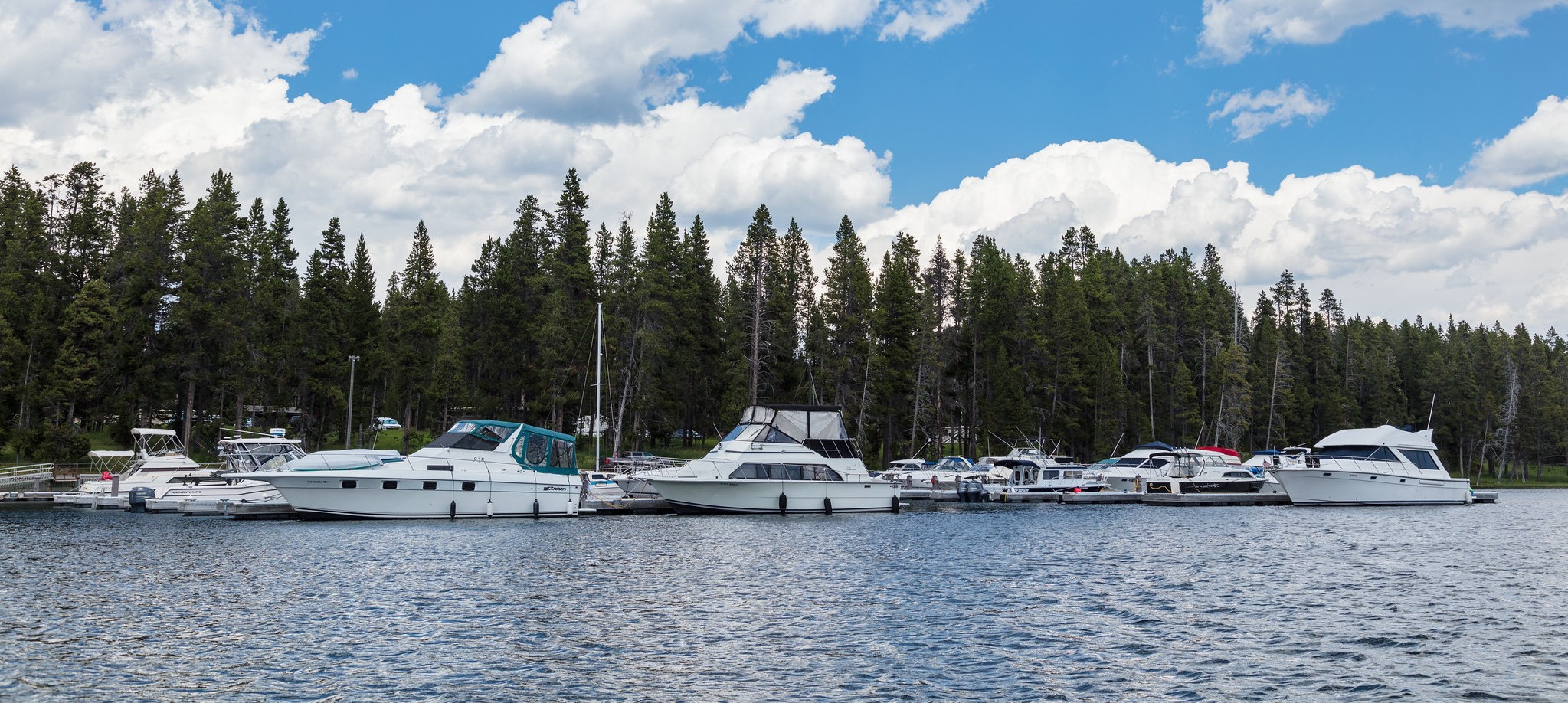 Bridge Bay Marina Header | Yellowstone National Park Lodges