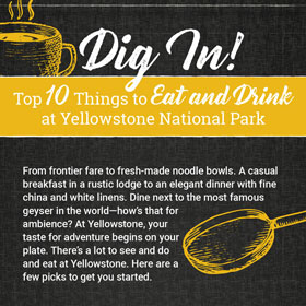 DIg-In | Yellowstone National Park Lodges