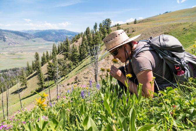 Stop and smell the flowers | Yellowstone National Park Lodges