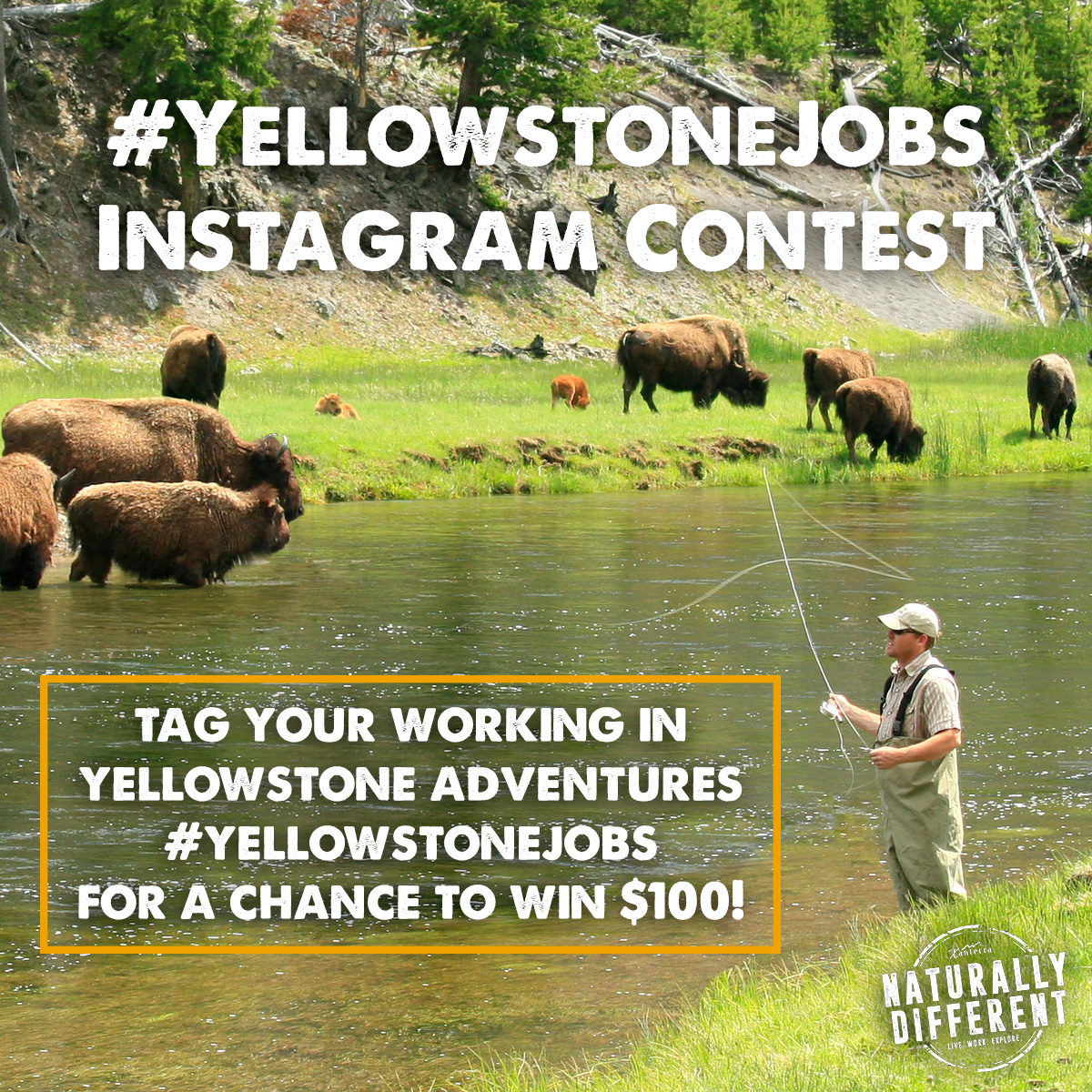 Instagram-Contest-Poster | Yellowstone National Park Lodges