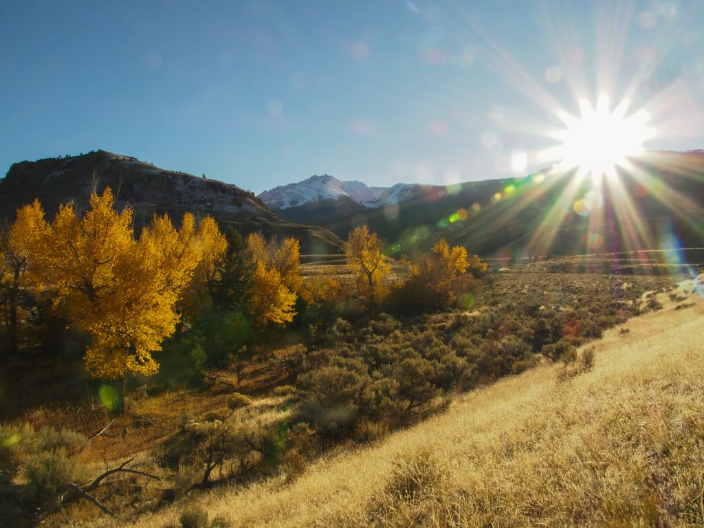 A Perfect Park Day: Autumn in Yellowstone