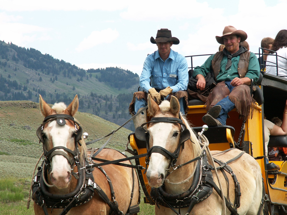 Horses of Yellowstone: Tales from the Corral | Yellowstone National ...