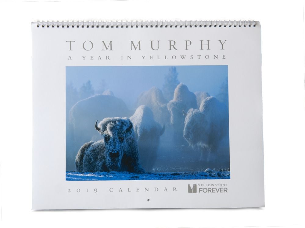 tom_murphy-5_web | Yellowstone National Park Lodges