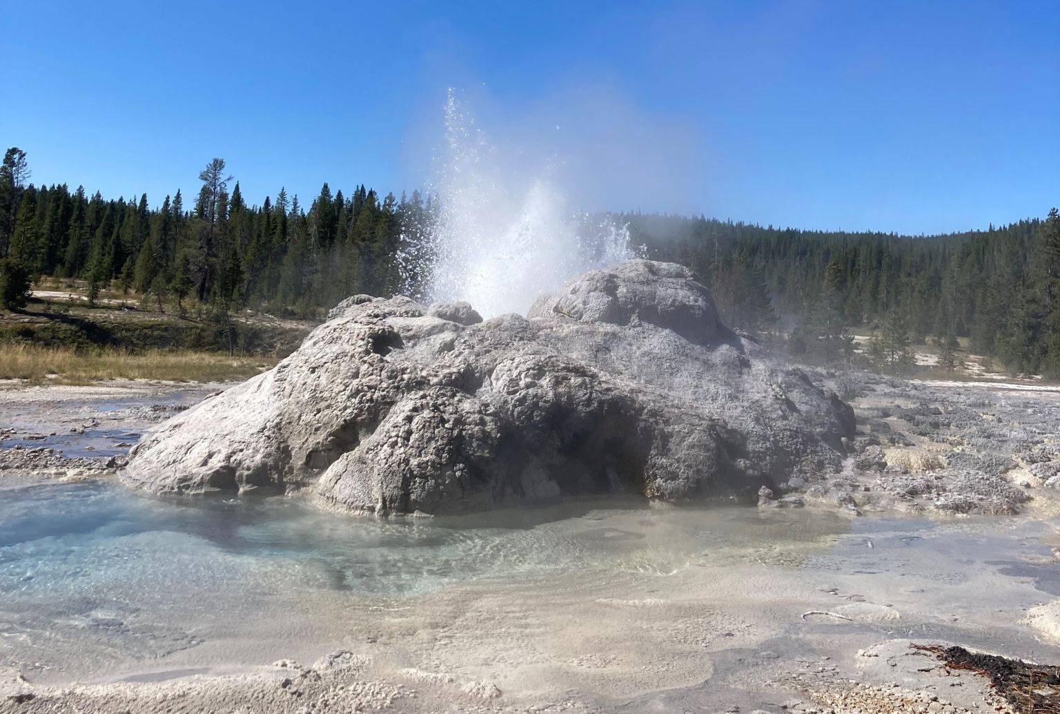 7 Must-Do Experiences in Yellowstone