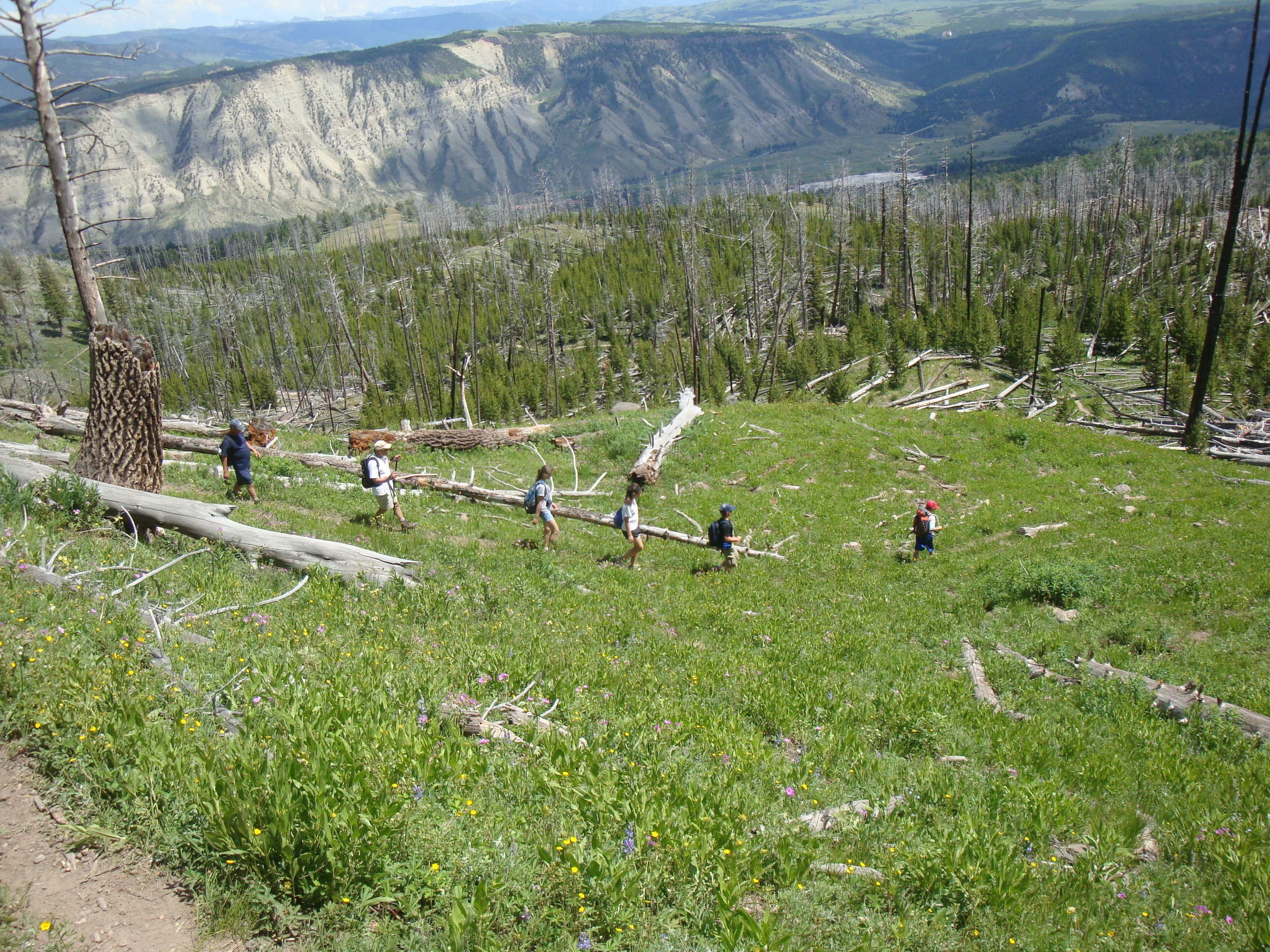 WW_Header | Yellowstone National Park Lodges