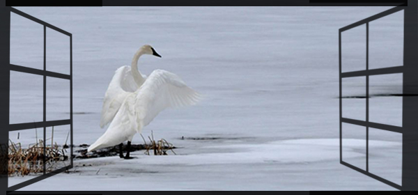 Dec. Header | Yellowstone National Park Lodges