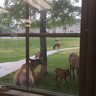 katie_mariah95 | Yellowstone National Park Lodges