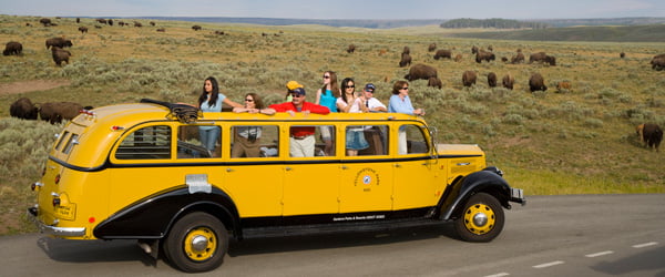 Historic-Yellow-Bus-(117)-600X250 | Yellowstone National Park Lodges