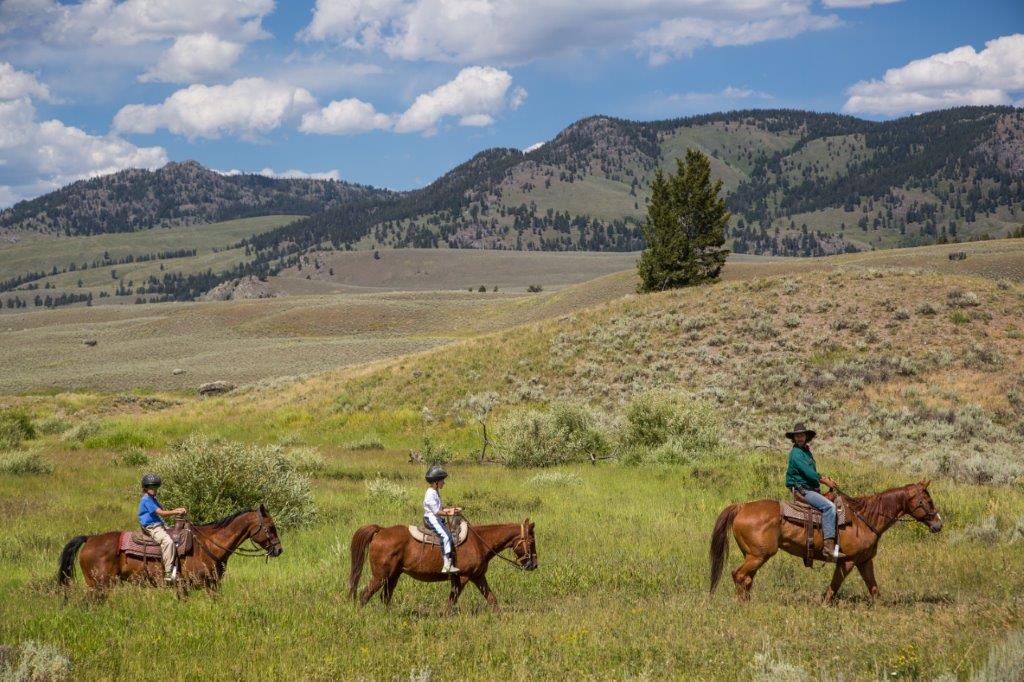 Horses of Yellowstone: Tales from the Corral | Yellowstone National ...