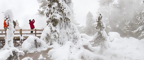Visitors at Leather Pool photographing rime ice | Yellowstone National ...
