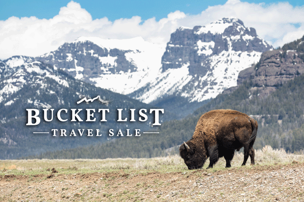 Bucket-list-Bison | Yellowstone National Park Lodges