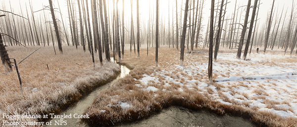 Nov_ Header_2 | Yellowstone National Park Lodges