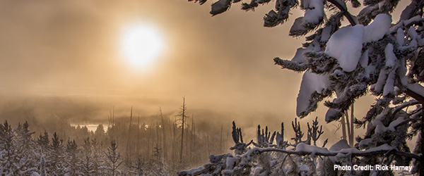 Feb Header | Yellowstone National Park Lodges