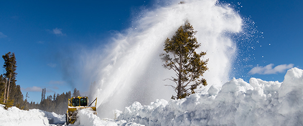 March Newsletter Header | Yellowstone National Park Lodges