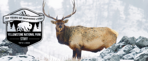 150th Staff Header_Feb (2) | Yellowstone National Park Lodges