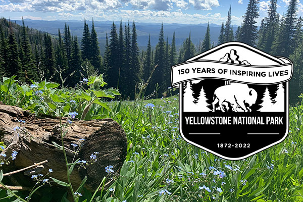 july-pre-arrival-header | Yellowstone National Park Lodges