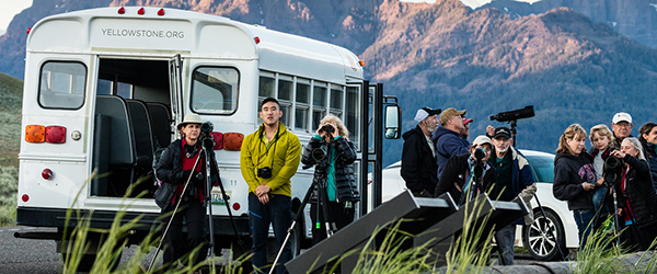 Wildlife watching in Lamar Valley with Yellowstone Forever ...