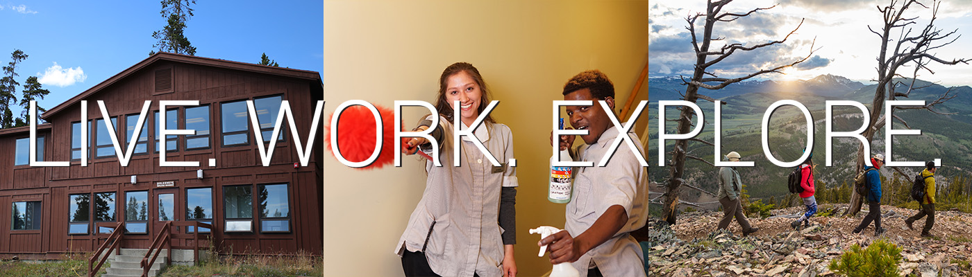 Indeed ad_format 1 | Yellowstone National Park Lodges