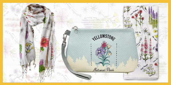 Wildflowers_web | Yellowstone National Park Lodges
